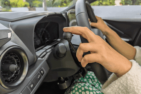 Manual accelerator levers ACCELEVER - Sojadis